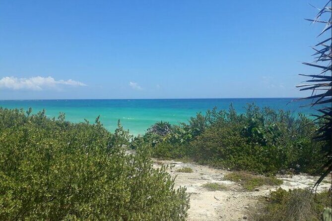 Automatic Buggy Rental 24h Live Cozumel at Your Rhythm - The Sum Up