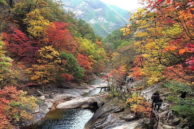 Autumn Foliage-Mt. Seorak, Sokcho Beach, Market, Observatory - The Experience in Practice: What Travelers Say