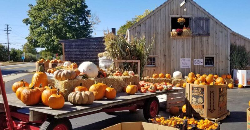 Autumn in New England - An In-Depth Look at the Autumn in New England Tour