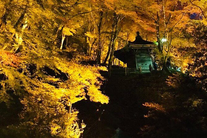 Autumn leaves illuminations at Korankei , winter cherry blossoms - FAQ