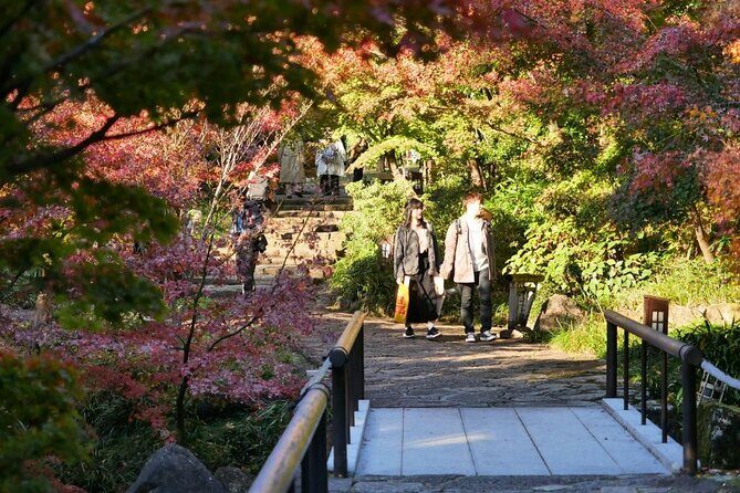 Autumn Leaves Private Tour in Nagoya - Practical Tips for Participants