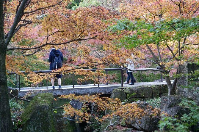 Autumn Leaves Private Tour in Nagoya - Final Thoughts: Is It Worth It?