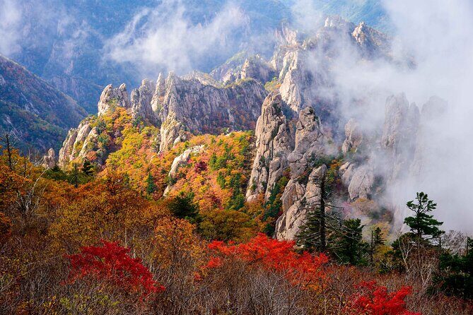 [Autumn] Mt. Seorak & Flower Festival - Exploring the [Autumn] Mt. Seorak & Flower Festival Tour: A Balanced Look