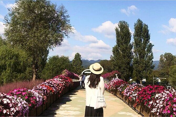 [Autumn] Mt. Seorak & Flower Festival - Practical Insights and Value