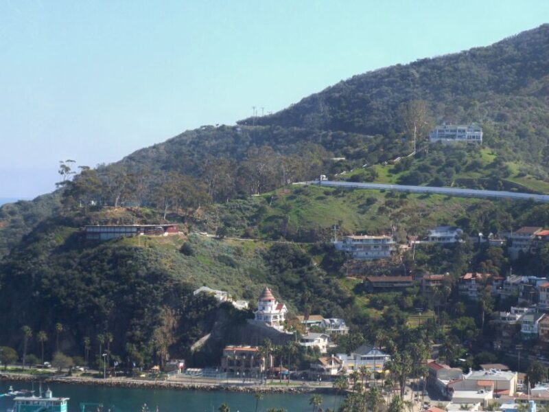 Avalon, Catalina Island: 2-Hour Inside Adventure Tour - An In-Depth Look at the Tour