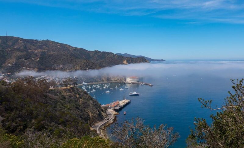 Avalon, Catalina Island: 2-Hour Inside Adventure Tour - Final Thoughts