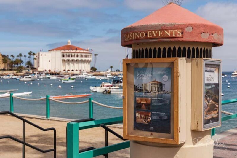 Avalon: Private Golf Cart Tour with Driver-Guide - An In-Depth Look at the Tour Experience