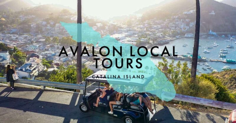 Avalon: Private Golf Cart Tour with Driver-Guide - Who Will Enjoy This Tour Most?
