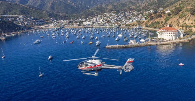 Avalon: Santa Catalina Island Aerial Helicopter Tour - What Makes This Helicopter Tour Stand Out