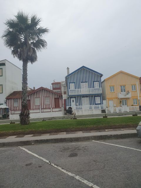 Aveiro and Coimbra Day Trip from Porto - Key Points