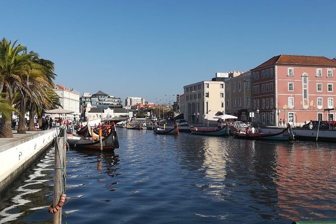 Aveiro and Coimbra from Porto with Moliceiro Boat Trip - FAQ