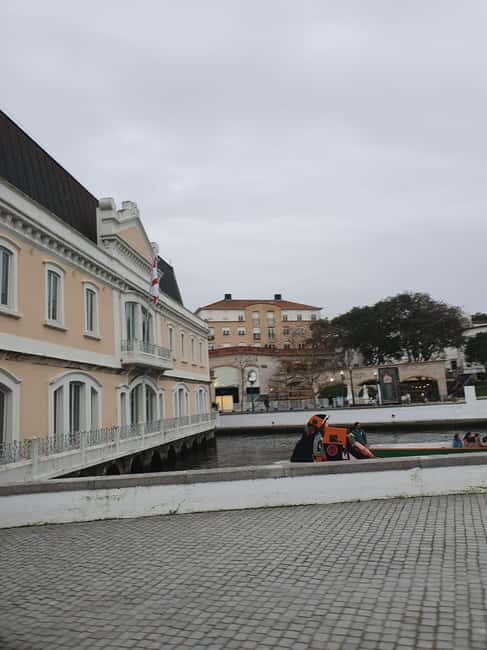 Aveiro and Coimbra private tour from Porto - Transition to Coimbra: Portugal’s Academic Gem