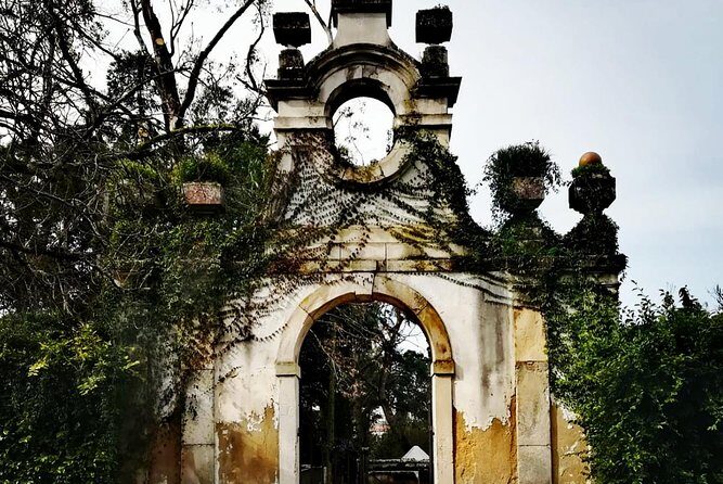Aveiro and Coimbra Private Tour From Porto - Why Travelers Love This Tour