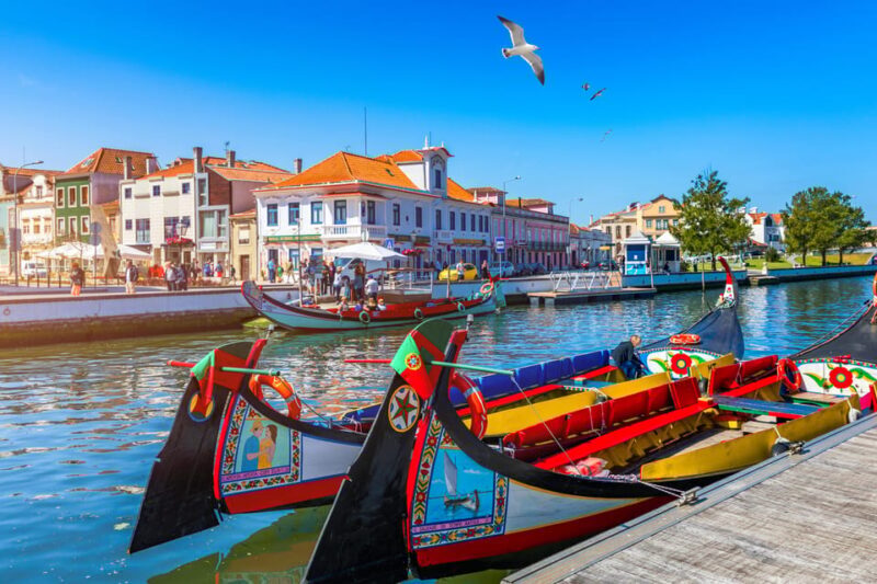 Aveiro and Costa Nova Half Day Tour with Cruise from Porto - Key Points