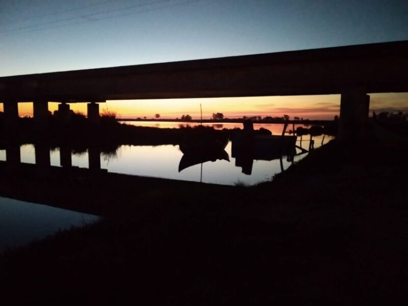Aveiro: Boat Cruise and City Walking Tour with Sweet Tasting - Key Points