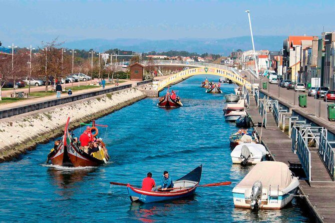 Aveiro Canal Cruise in Traditional Moliceiro Boat - What is the Aveiro Moliceiro Boat Tour?