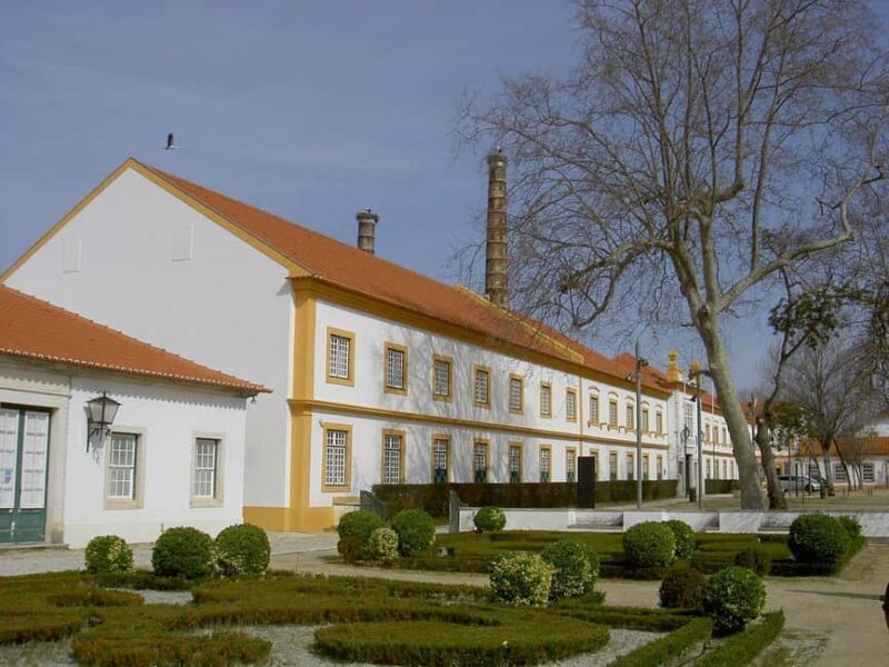 Aveiro City Tour: Private day trip with tickets included. - The Practical Side: What’s Included and What’s Not