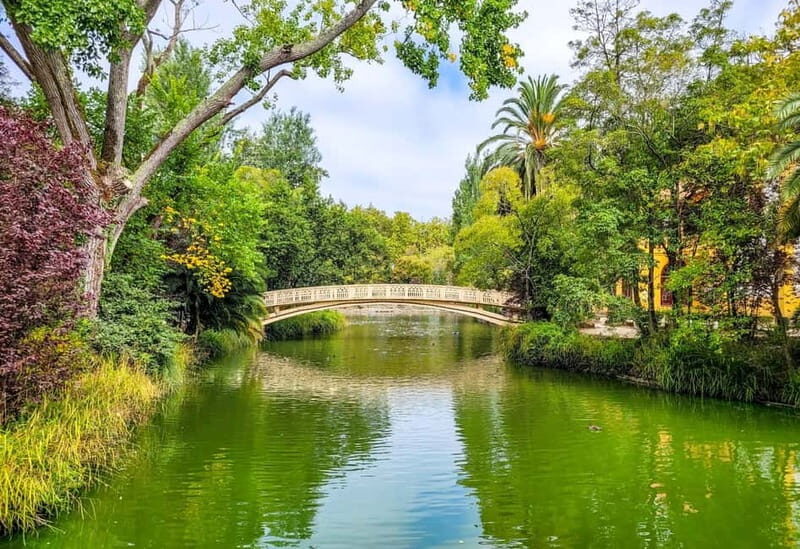 Aveiro & Costa Nova Day Trip  Full Access Included - The Itinerary: What You Can Expect