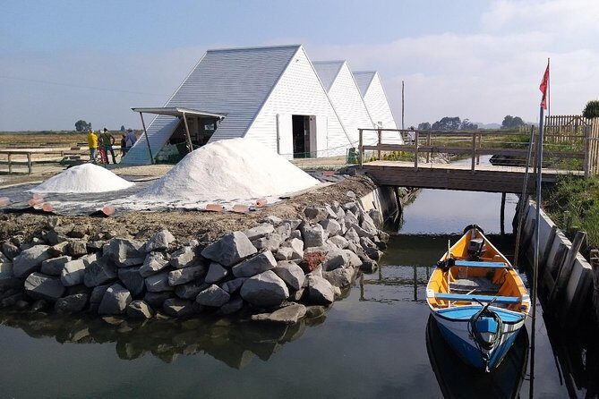 Aveiro & Costa Nova Private Tour  Canals & Striped Houses - What the Reviews Say