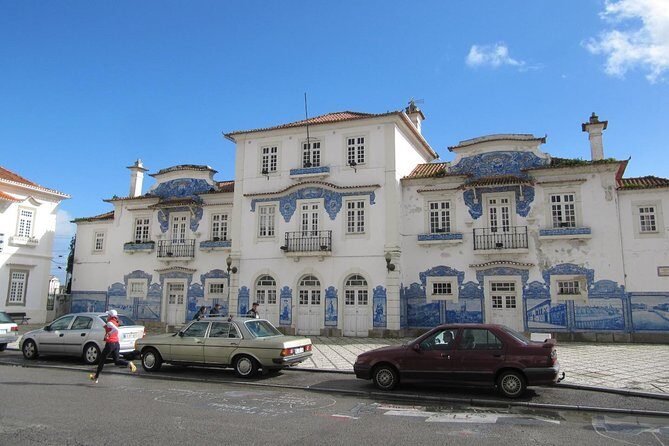 Aveiro & Costa Nova Private Tour  Canals & Striped Houses - Who Should Consider This Tour?