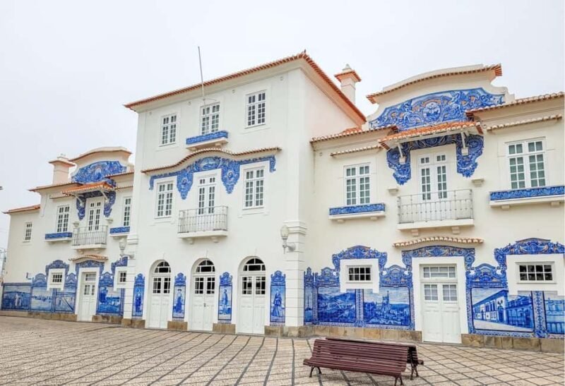 Aveiro: Cruise, Museums & Heritage  Tickets Included - The Artistic Finale: Vista Alegre Porcelain Factory