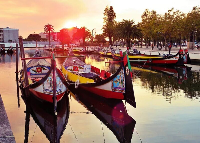 AVEIRO E COSTA NOVA: Private Full-Day Tour w/Boat from Porto - Analyzing the Value: Is This Tour Worth It?