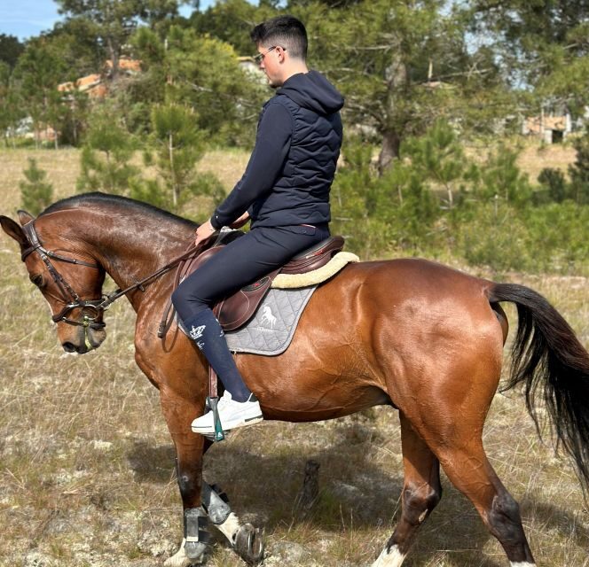 Aveiro: Horse Riding Experience with Instructor - Key Points
