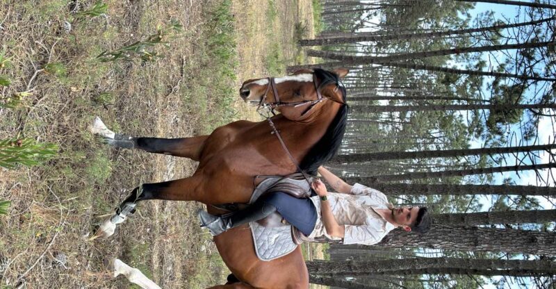 Aveiro: Horse Riding Experience with Instructor - A Complete Look at the Aveiro Horse Riding Experience