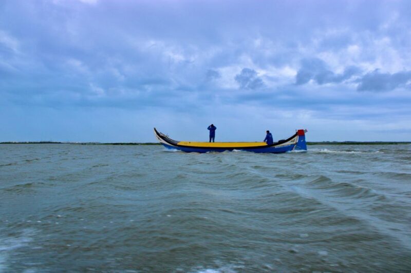 Aveiro: passeio de barco típico com degustação - 90 min - Exploring Aveiro’s Lagoon: An Authentic 90-Minute Boat Journey