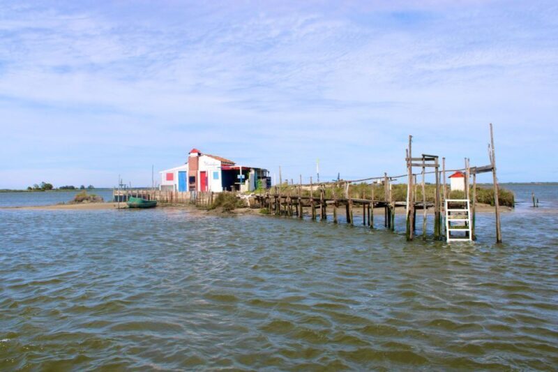 Aveiro: passeio de barco típico com degustação - 90 min - The Itinerary and Experience Breakdown