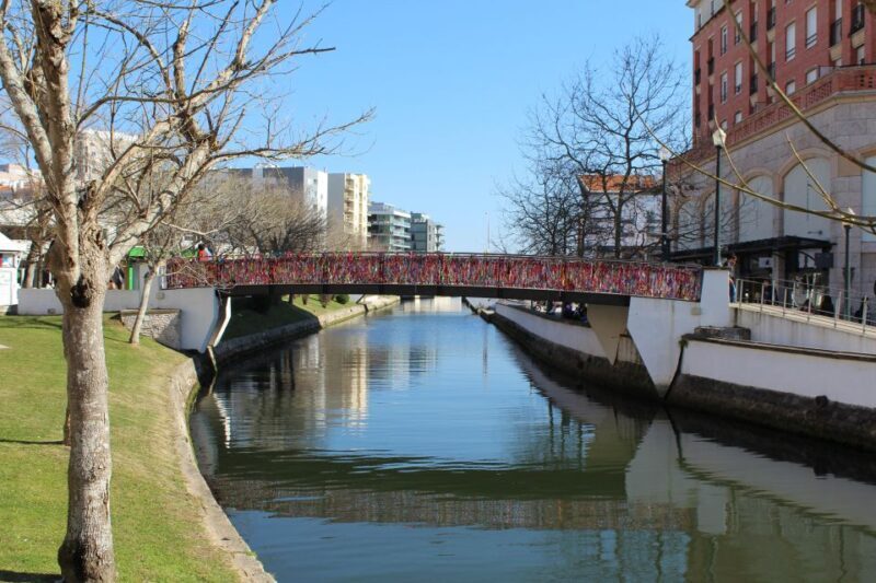 Aveiro: Private Walking Tour in the City and Moliceiro boat - An In-Depth Look at the Tour Experience