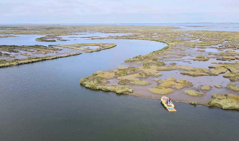 Aveiro: Ria Highlights Boat Tour - Exploring the Ria de Aveiro: A Deep Dive
