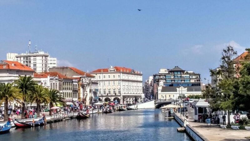 Aveiro Tour(4Hours): From Oporto;City Tour- Half Day Trip - Why Choose This Aveiro Tour?
