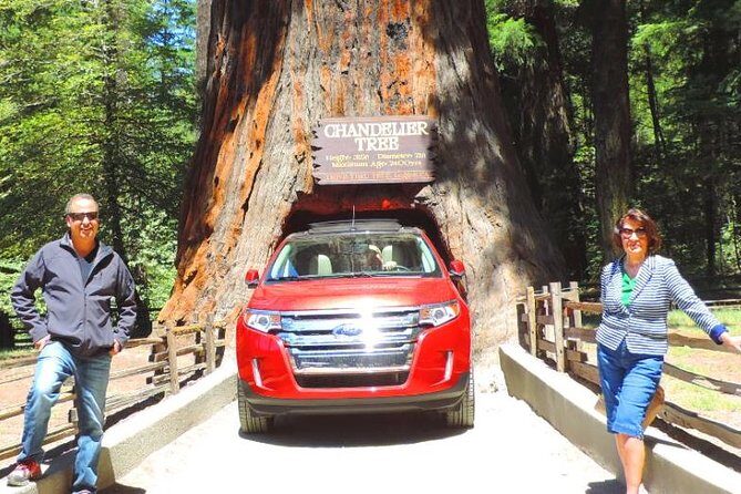 Avenue of the Giant Redwood Private 1 day Tour from San Francisco - Who Is This Tour Perfect For?