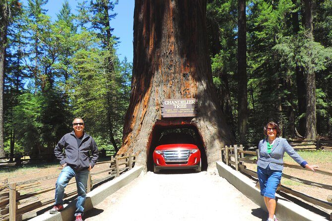 Avenue of the Giants Redwoods private 2-day tour +1 night hotel - First Impressions: What makes this tour stand out?