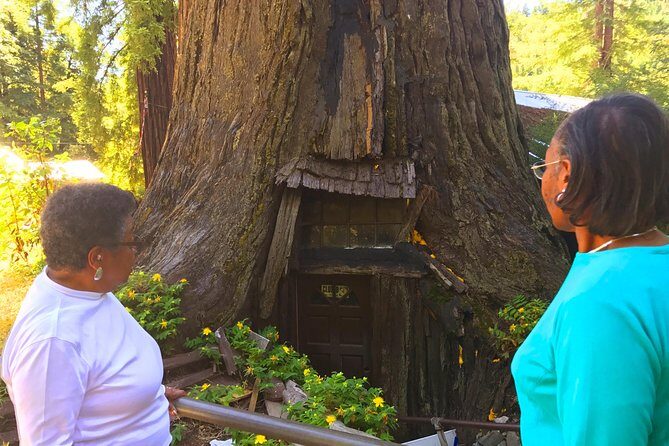 Avenue of the Giants Redwoods private 2-day tour +1 night hotel - Final Thoughts: Does this tour deliver?