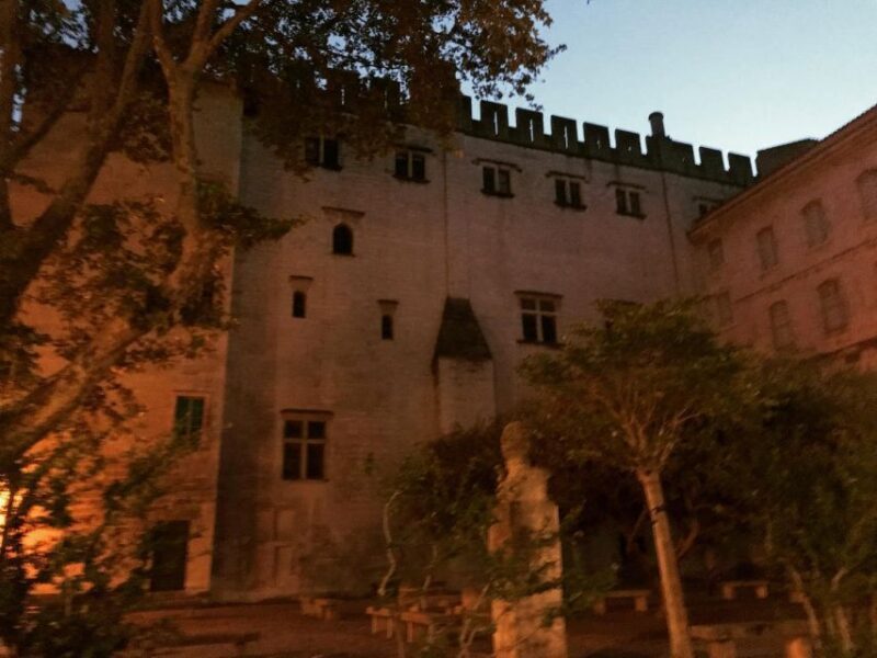 Avignon: All About Avignon Tour - Who should consider this tour?