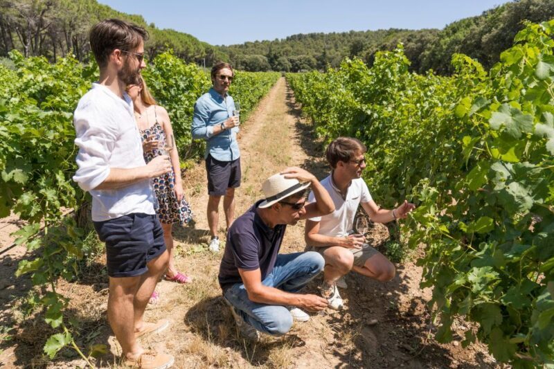 Avignon : Full-Day Châteauneuf du Pape wines & Luberon Tour - Final Thoughts: Is It Worth It?