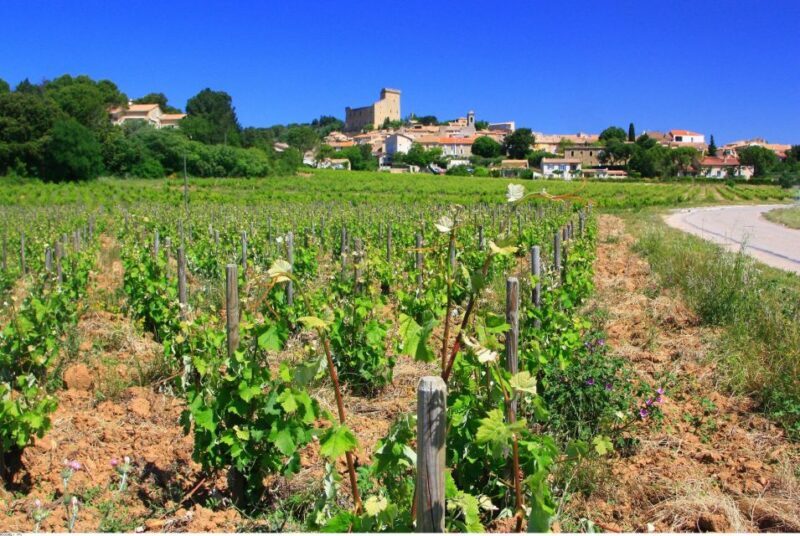 Avignon: Full-Day Wine Tour around Châteauneuf-du-Pape - An In-Depth Look at the Tour Experience