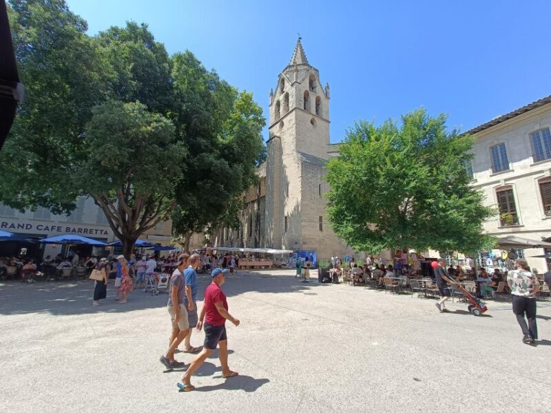 Avignon : Half-Day Walking Tour with Private Guide - The Practical Side: What Does It All Cost & Include?