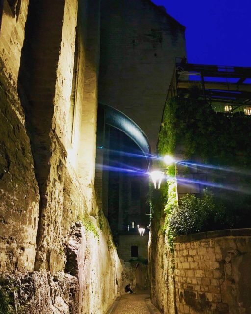 Avignon: La Noctambule Between Past and Present - Key Points