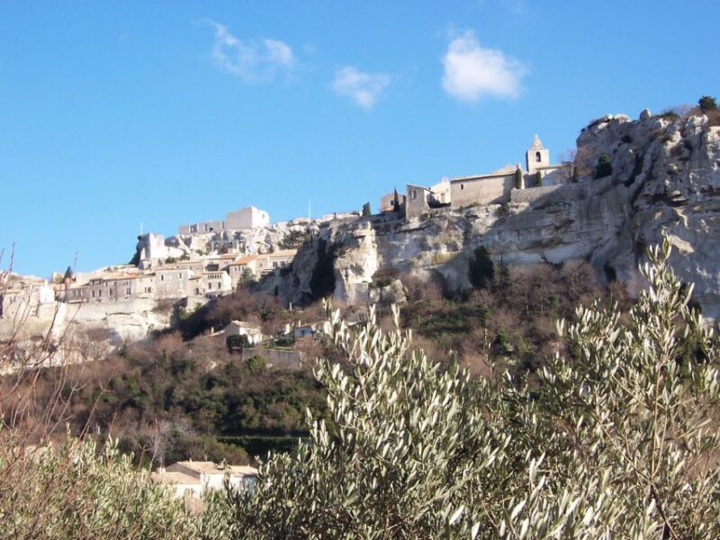 Avignon: Pont du Gard, Saint Remy and Les Baux Half-Day Tour - Who Should Do This Tour?