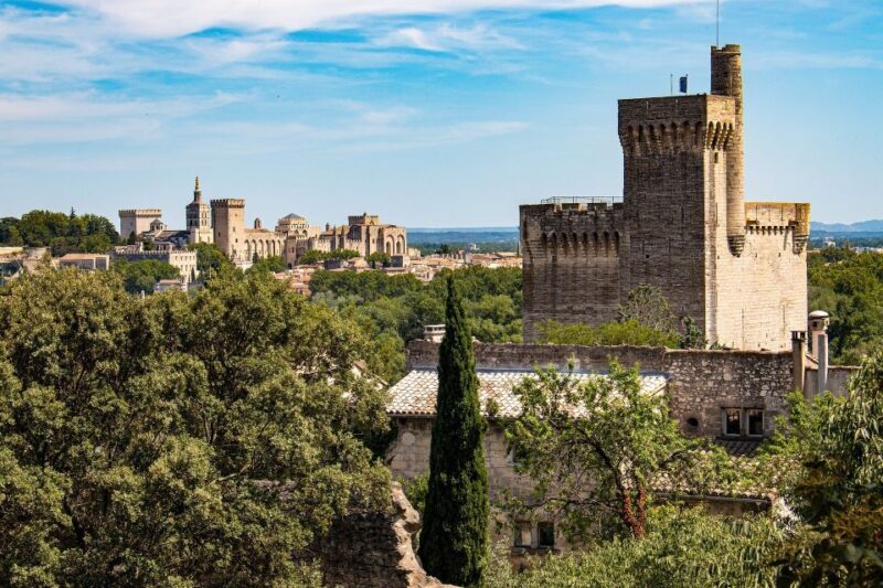 Avignon: Private Walking Tour  Discover History & Heritage - Final Thoughts: Is This Tour for You?