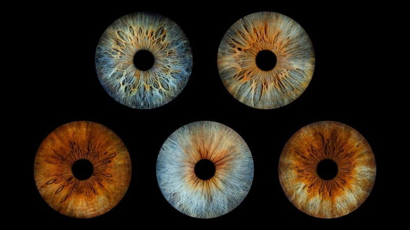 Avignon: Reveal the beauty of your iris with Iris Galerie - An Unusual Yet Delightful Way to Capture a Memory