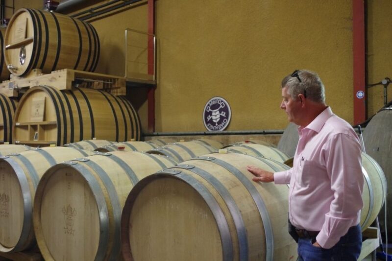 Avignon: Wine Tasting Tour - An Inviting Look at Provence’s Wine Heritage