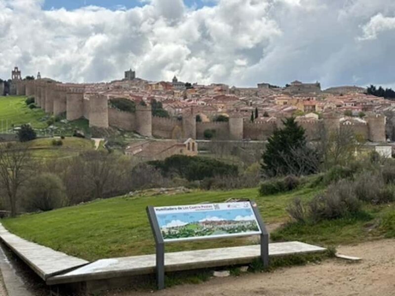 Avila: Half-day private tour in a minivan from Madrid - Key Points