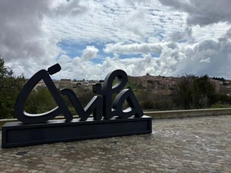 Avila: Half-day private tour in a minivan from Madrid - Considerations and Practical Tips
