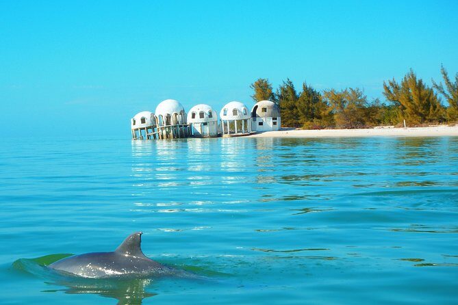 Avi's Premium Dolphin Tour by Jet Ski - An In-Depth Look at Avi’s Jet Ski Dolphin Tour