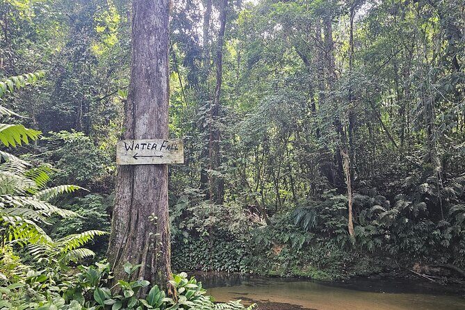 Avocat Waterfall and Maracas Bay, The Way Trinis Do It - The Sum Up: Who Is This Tour Best For?