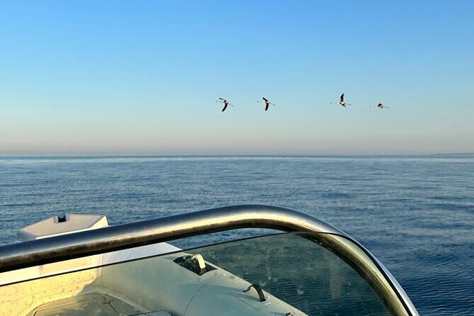 Avola: Group Boat Tour Vendicari Capopassero and Aperitif - Timing and Practical Considerations